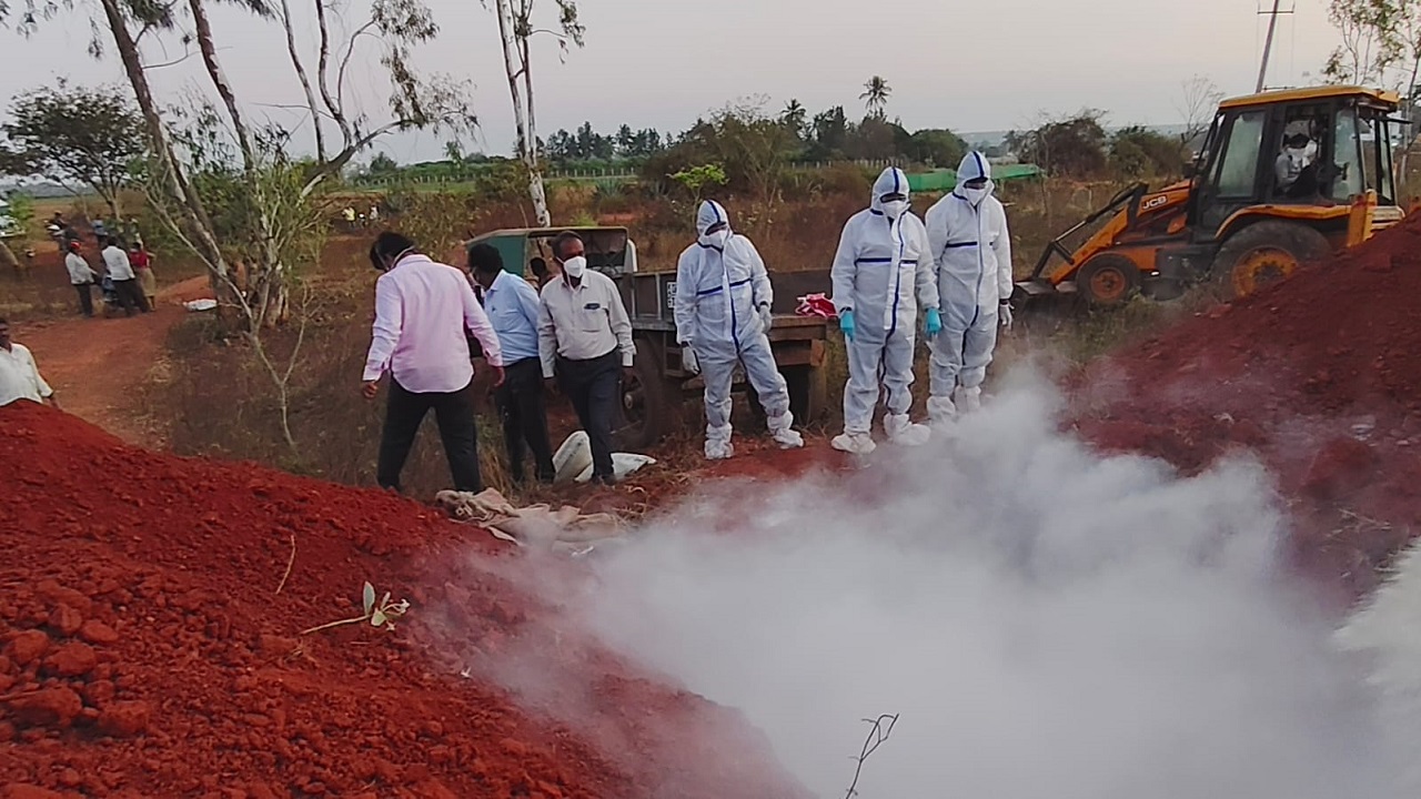 Chikkaballapur News: ವರದಹಳ್ಳಿಯಲ್ಲಿ ಸಾವನ್ನಪಿದ ಕೋಳಿಗಳಲ್ಲಿ ಹಕ್ಕಿಜ್ವರದ ...